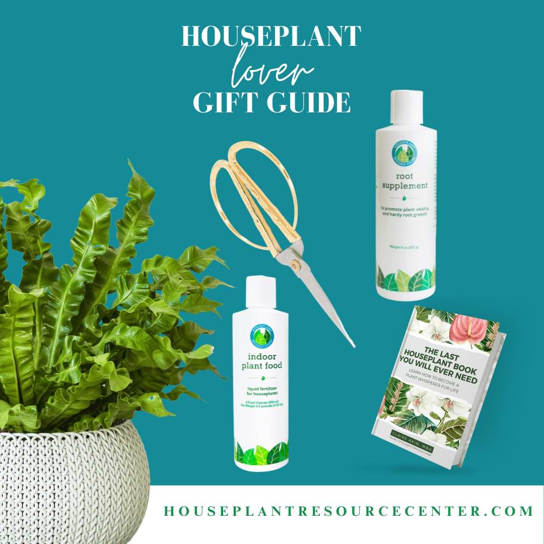 9 Holiday Houseplant Gifts Your Friends Will Love – Houseplant Resource ...