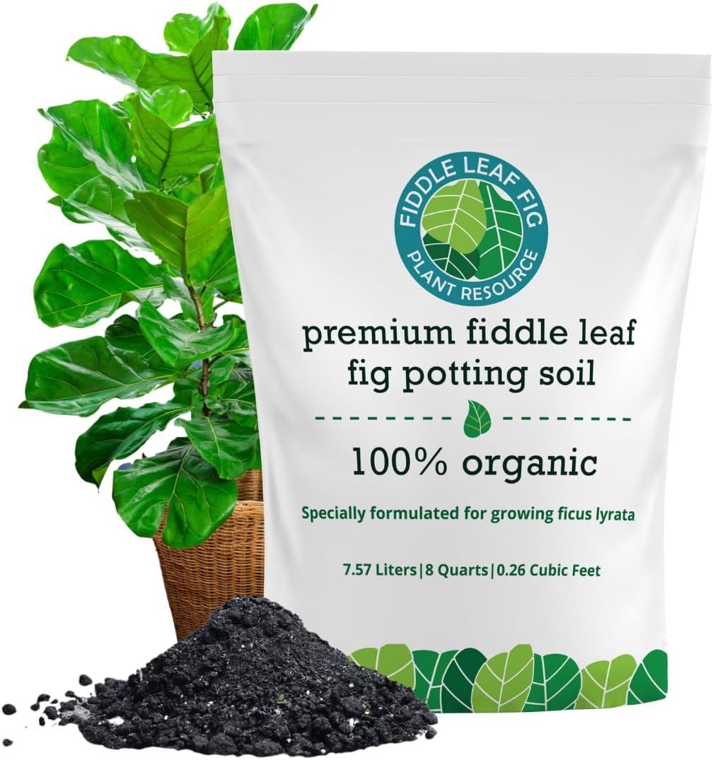 100% Organic Fiddle Leaf Fig Potting Soil Mix — Nutrient Rich, Well-Dr ...