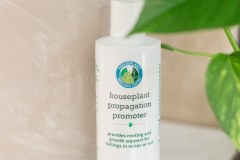 Houseplant Propagation Promoter - Houseplant Resource Center
