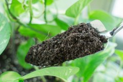 Indoor Plant Soil - Houseplant Resource Center