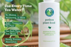 Pothos Fertilizer - Liquid Fertilizer for Indoor House Plants