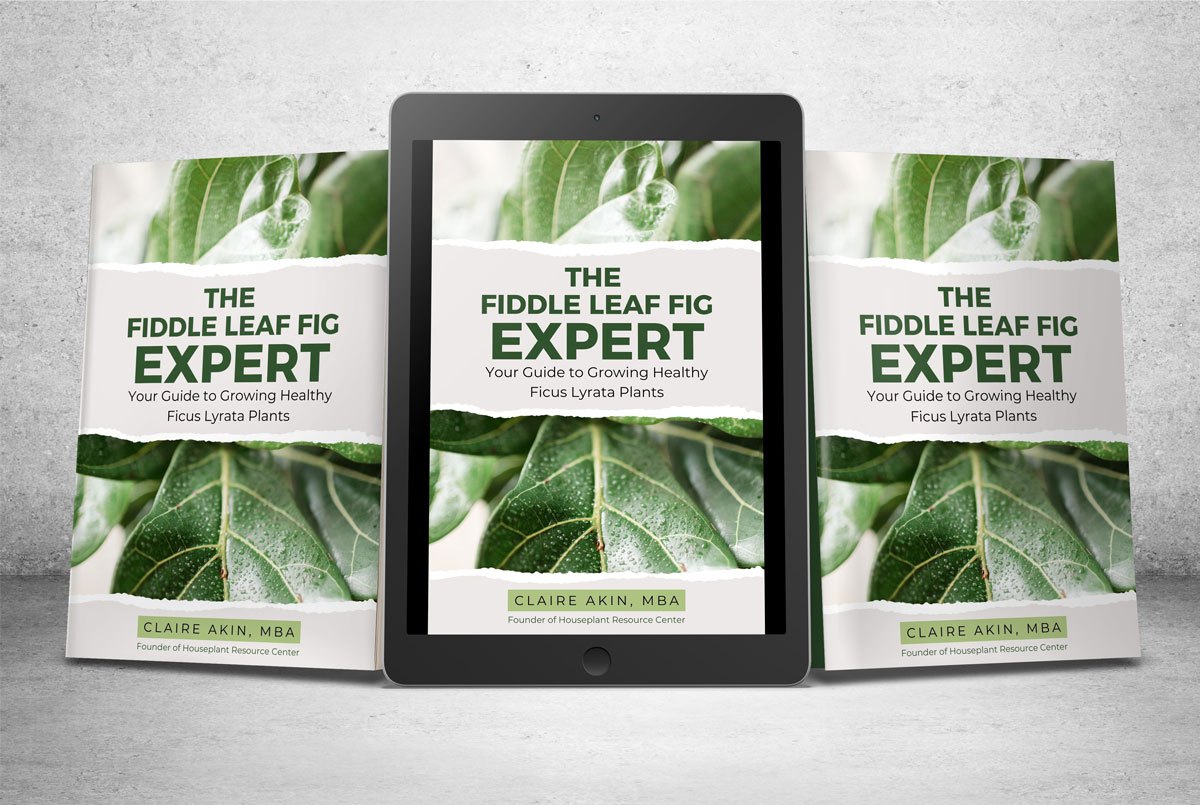The Fiddle Leaf Fig Expert Book | Houseplant Resource Center