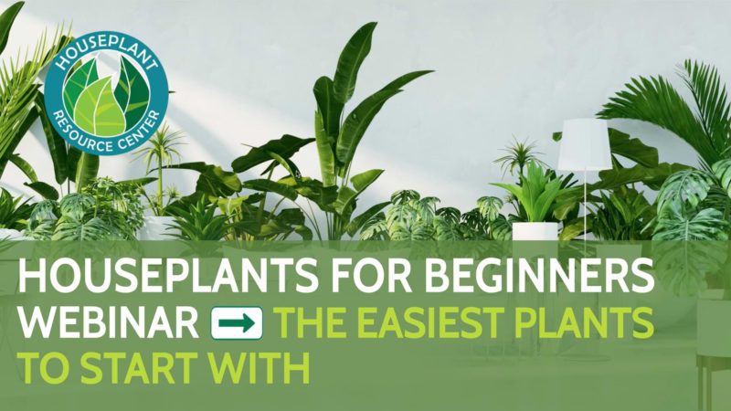 Houseplants for Beginners Webinar - Houseplant Resource Center