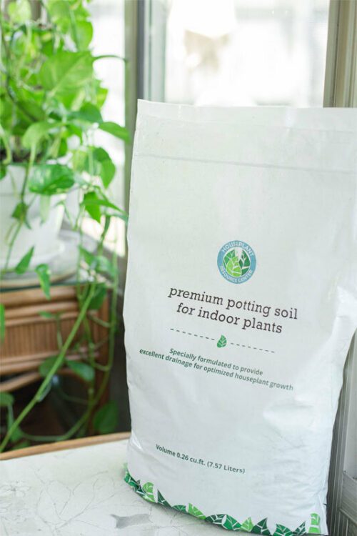 Premium Potting Soil for Indoor Plants: The Perfect Houseplant Soil